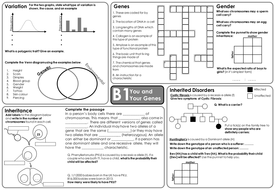 Genes and inheritance GCSE revision overview sheet | Teaching Resources