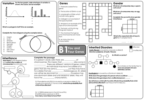 Genes and inheritance GCSE revision overview sheet | Teaching Resources