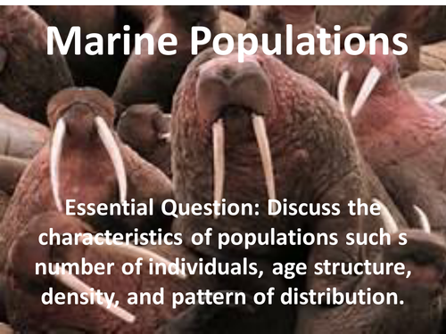 Marine Science - Populations | Teaching Resources