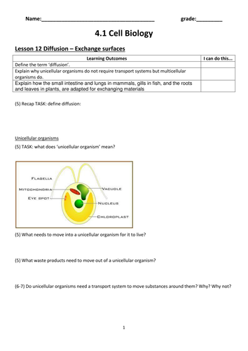 Lesson 12 Diffusion Exchange Surfaces AQA Trilogy GCSE (9-1) 4.1 Cell ...