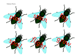 PHONICS fly swot! Swot the flies - words and sounds | Teaching Resources