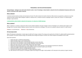 Photosynthesis Mind Map | Teaching Resources