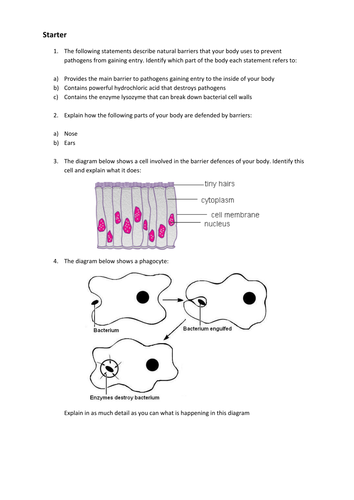 Starter: Non-specific defence and phagocytes | Teaching Resources