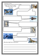 Arctic animal sorting sheets | Teaching Resources