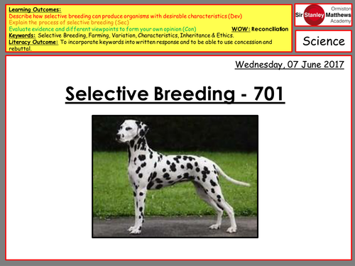 Selective Breeding Lesson - Observation Lesson | Teaching Resources