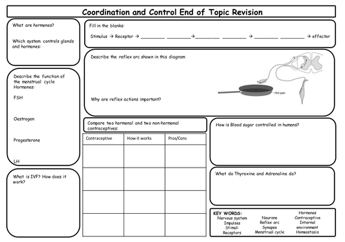 New AQA GCSE Coordination and Control Revision | Teaching Resources
