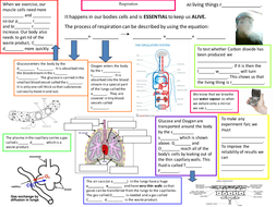 Respiration Mind Map | Teaching Resources