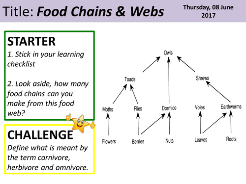 Food Chains and Webs | Teaching Resources
