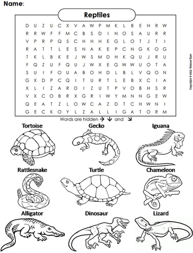 Reptiles Word Search | Teaching Resources