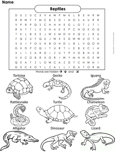 Reptiles Word Search | Teaching Resources
