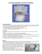 New Biology GCSE 9-1 Structure Of The Eye | Teaching Resources