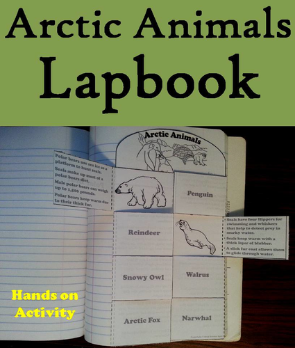 Arctic Animals Lapbook | Teaching Resources