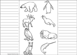 Arctic Animals Lapbook | Teaching Resources