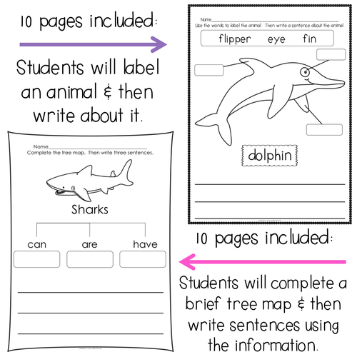 Ocean Writing Activities | Teaching Resources