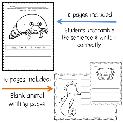 Ocean Writing Activities | Teaching Resources