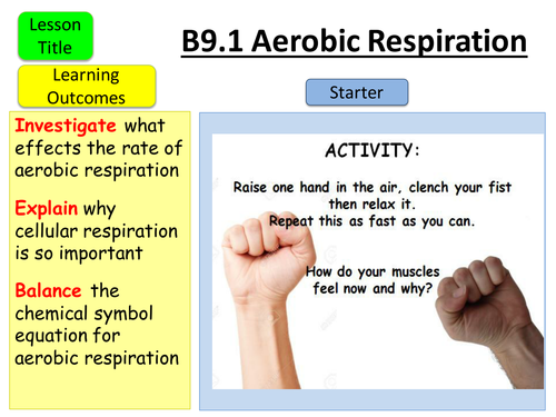 AQA GCSE B9.1 Aerobic Respiration | Teaching Resources