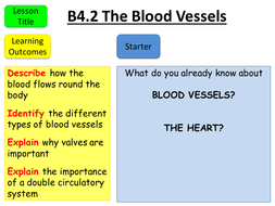 AQA GCSE B4.2 The Blood Vessels | Teaching Resources