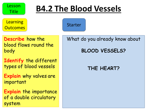 AQA GCSE B4.2 The Blood Vessels | Teaching Resources