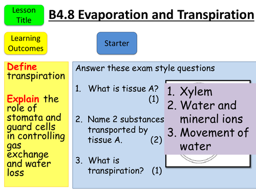 AQA GCSE B4.8 Evaporation and Transpiration | Teaching Resources