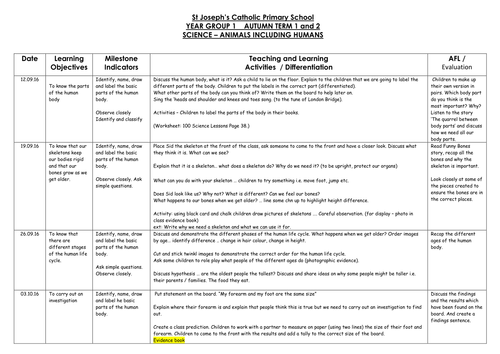 Year 1 Science Planning | Teaching Resources