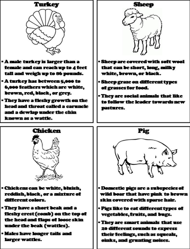 Farm Animals Accordion Booklet | Teaching Resources