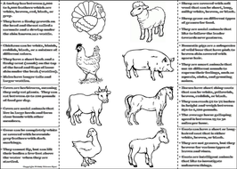 Farm Animals Lapbook | Teaching Resources