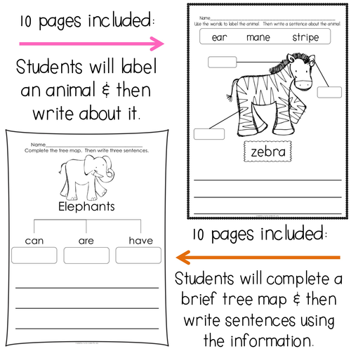 Zoo Writing Activities | Teaching Resources