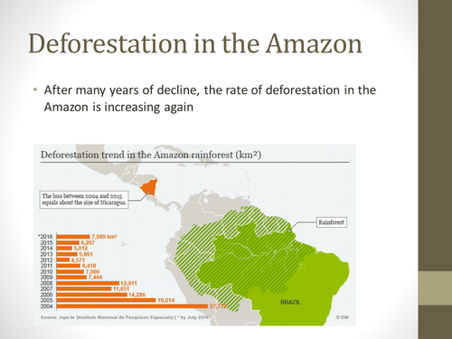 Brazil - Tropical Rainforest Debate - Deforestation - Causes of deforestation | Teaching Resources