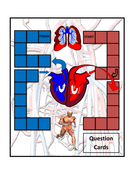 The cardiovascular and circulatory system activities | Teaching Resources