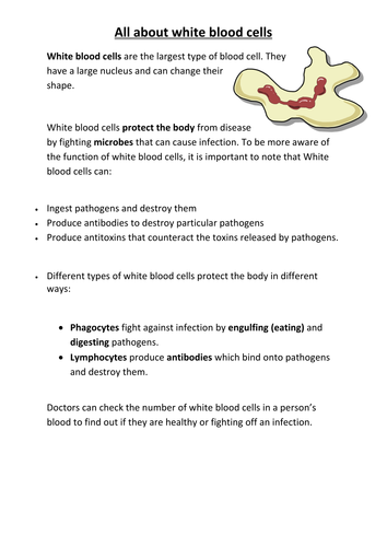 White blood cells comprehension activity | Teaching Resources
