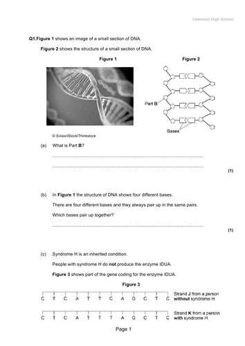 AQA Biology 4.6 – L2 DNA Mutations | Teaching Resources
