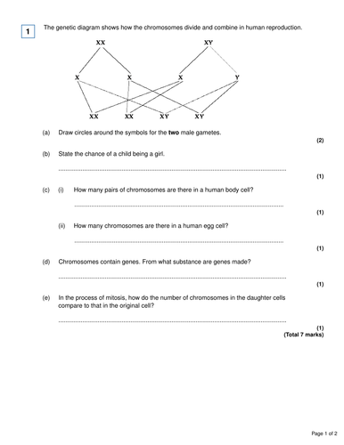 AQA Biology 4.6 – L5 Gender Determination | Teaching Resources