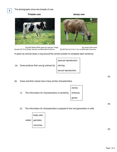 AQA Biology 4.6 – L9 Genetic Engineering | Teaching Resources