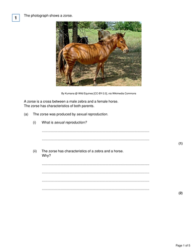 AQA Biology 4.6 – L10 Plant and Animal Cloning | Teaching Resources