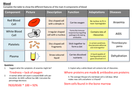 Blood components GCSE cut and stick task with answers by traine23 ...