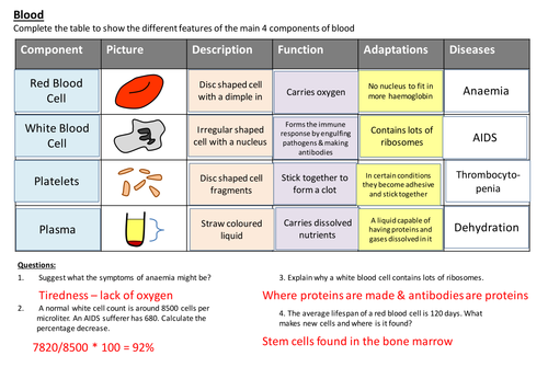 Blood components GCSE cut and stick task with cut-out cards, and with ...