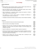 IGCSE Respiration and Gas Exchange (lesson) | Teaching Resources