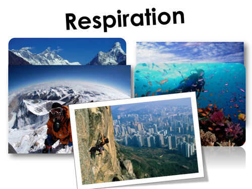 IGCSE Respiration and Gas Exchange (lesson) | Teaching Resources