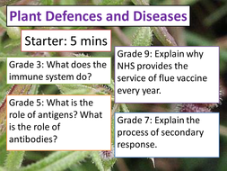 Plant Defences and Diseases | Teaching Resources