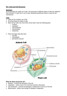 IGCSE Biology Cells and Cell Structures - Summary sheet | Teaching ...