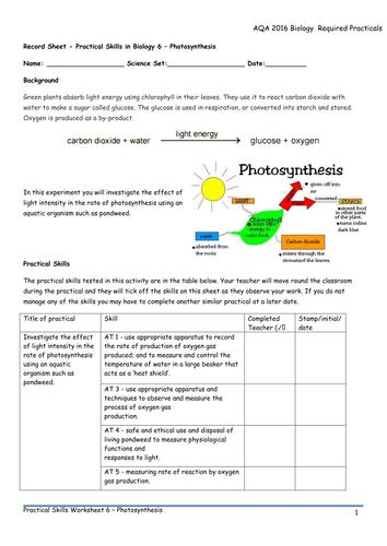 AQA 9-1 Biology Required Practical Worksheets | Teaching Resources
