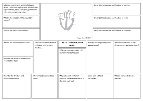 B2 Organisation revision broadsheets for new AQA GCSE Biology (2018 ...