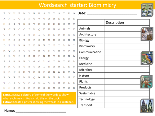 Design Technology Biomimicry Starter Activities Wordsearch, Anagrams ...