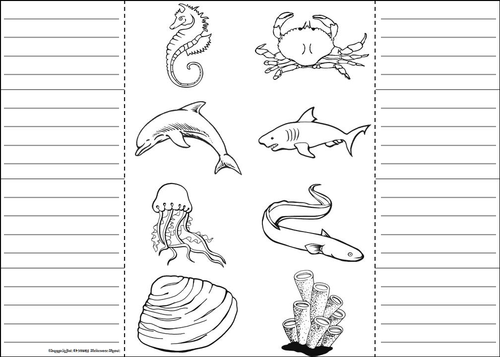 Ocean Animals Lapbook | Teaching Resources
