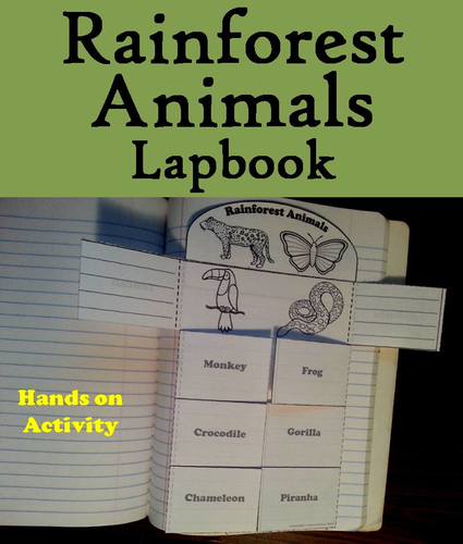 Rainforest Animals Lapbook | Teaching Resources