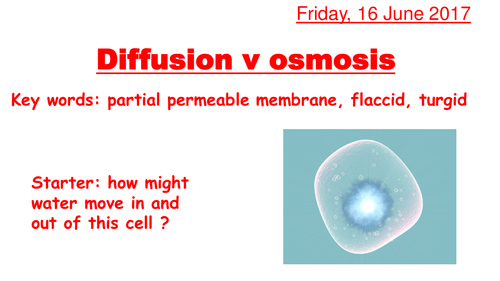 diffusion v osmosis | Teaching Resources