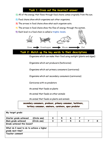New AQA Ecology Spec- Food Chains, Levels of Organisation & Trophic ...