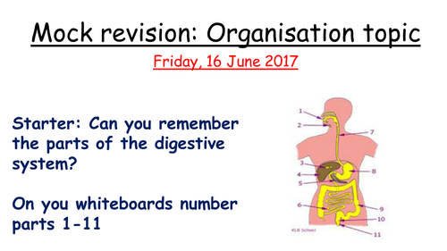 Organisation revision lesson AQA 1-9 GCSE | Teaching Resources