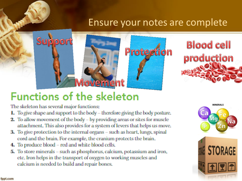 OCR GCSE PE Skeletal system unit of work. Lesson Resources and ...