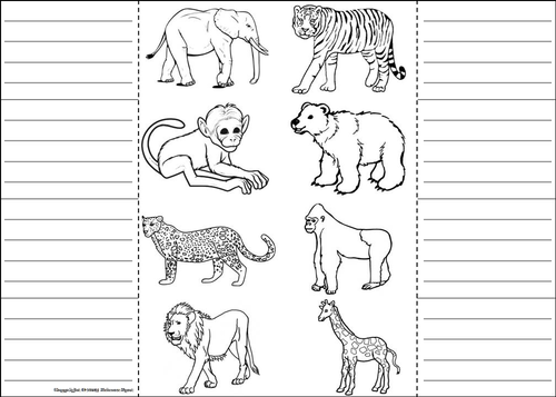 Zoo Animals Lapbook | Teaching Resources